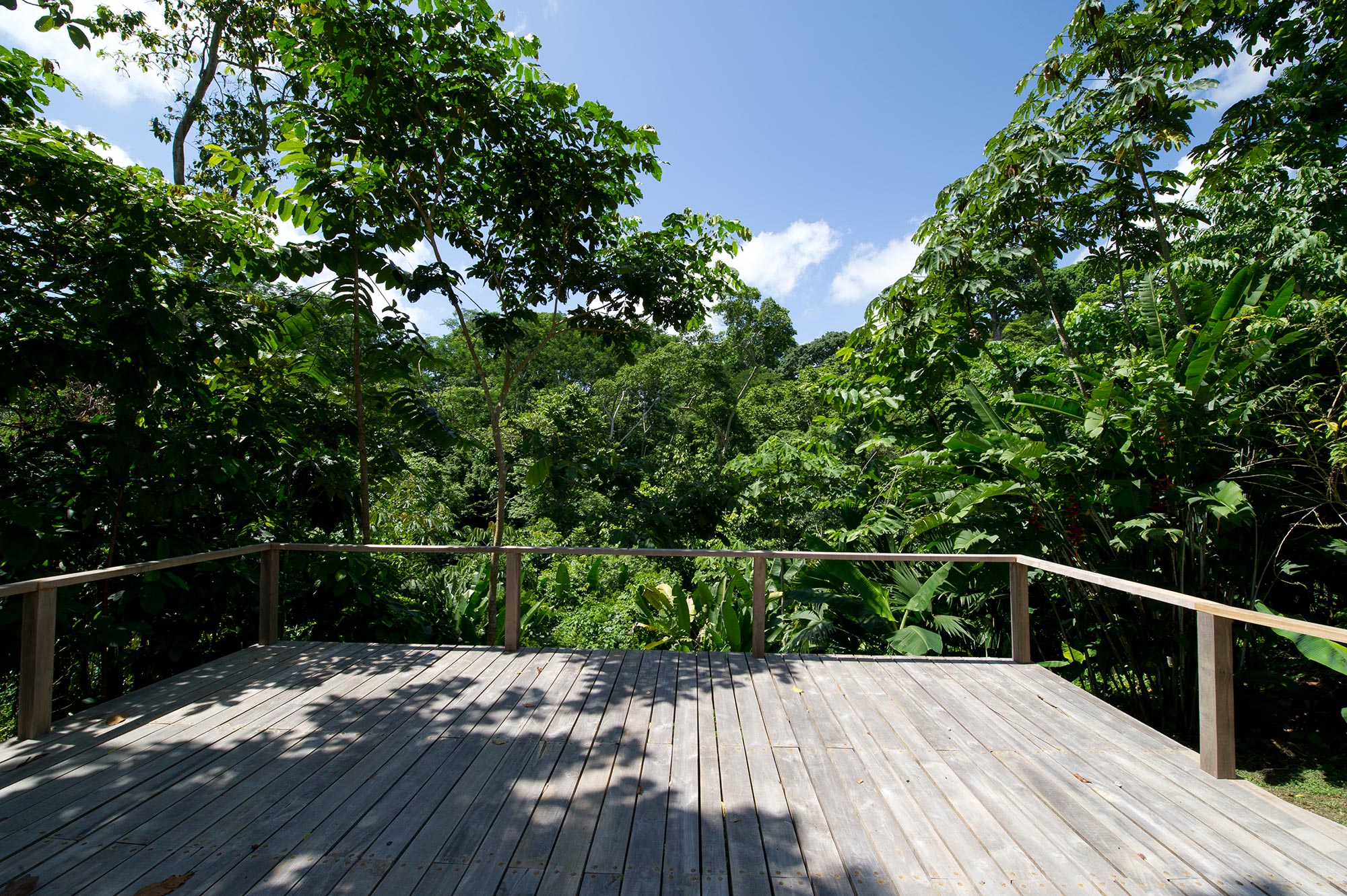 Canopy Camp - The Canopy Family