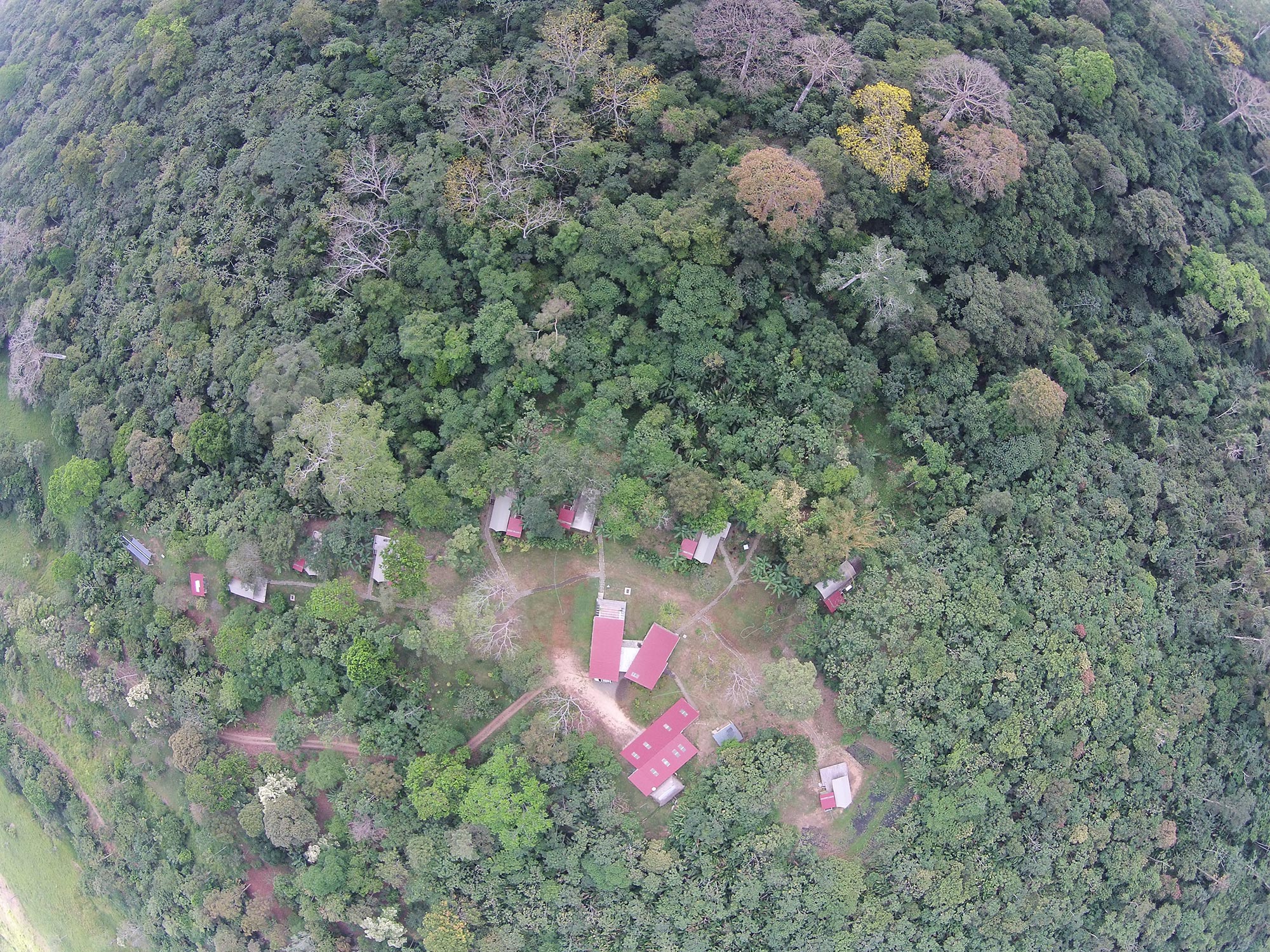 Canopy Camp - The Canopy Family