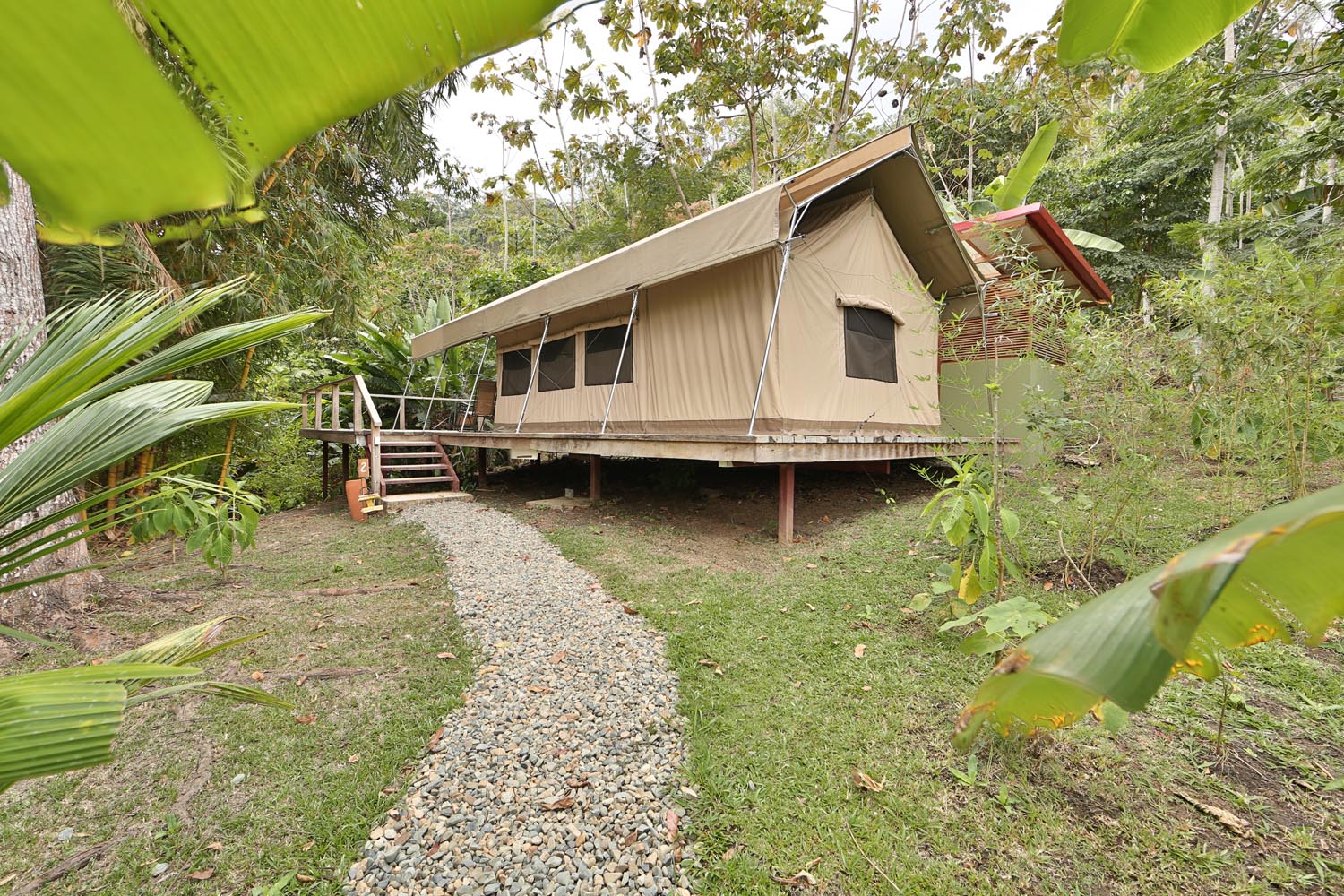 Canopy Camp - The Canopy Family