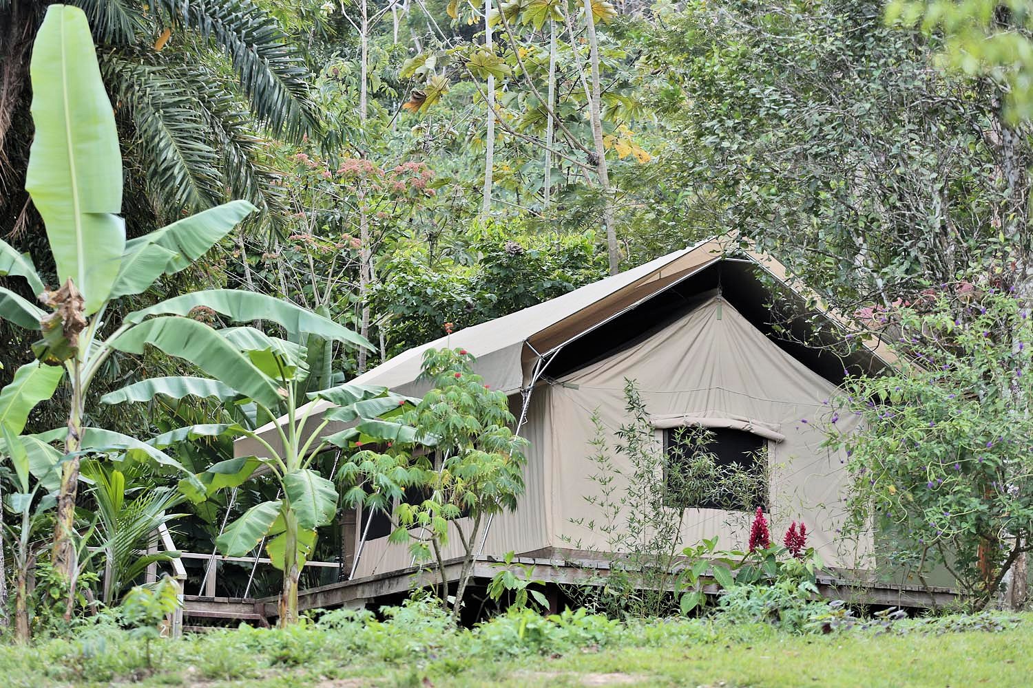 Canopy Camp - The Canopy Family