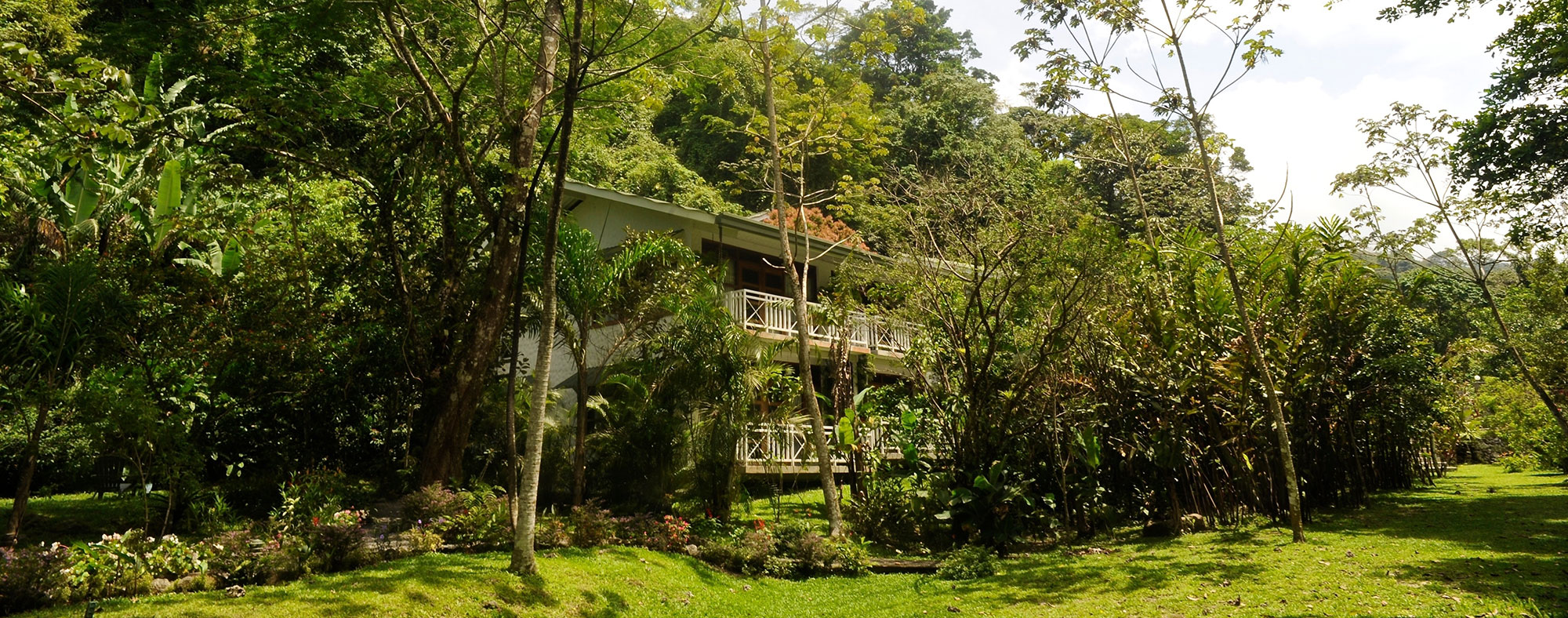 Canopy Lodge - The Canopy Family