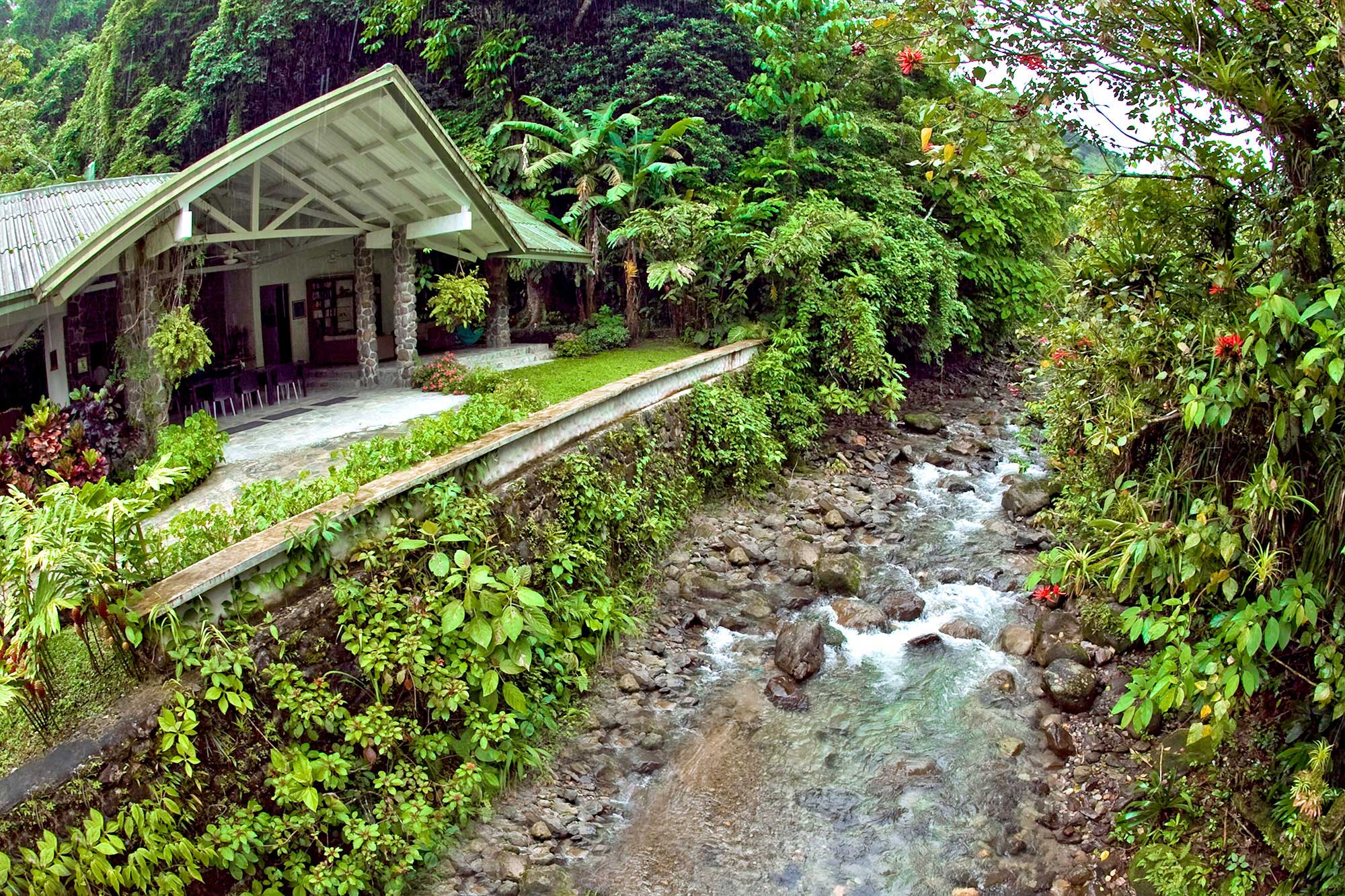 Canopy Lodge - The Canopy Family