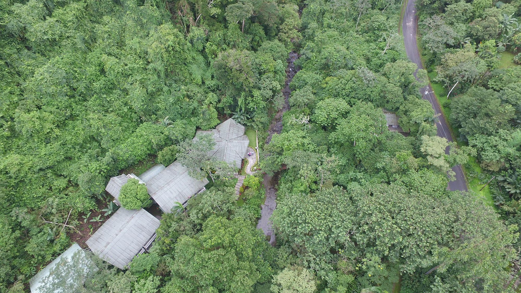 Canopy Lodge - The Canopy Family