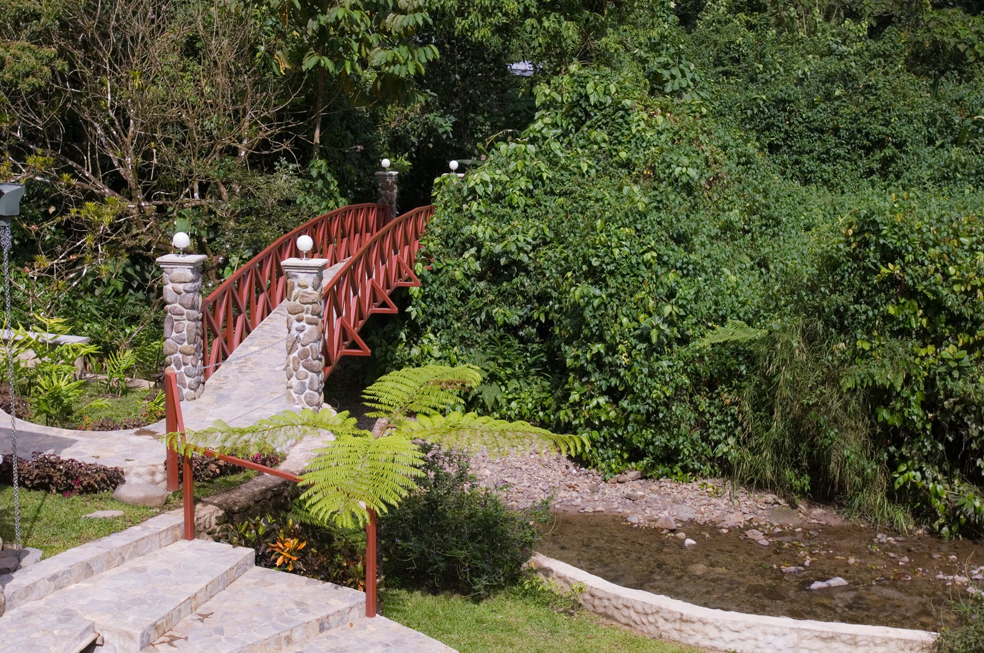 Canopy Lodge - The Canopy Family