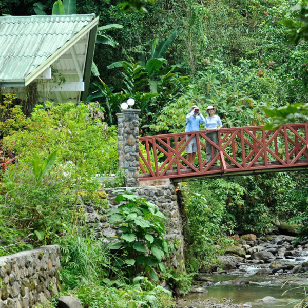 Canopy Lodge Activities - The Canopy Family