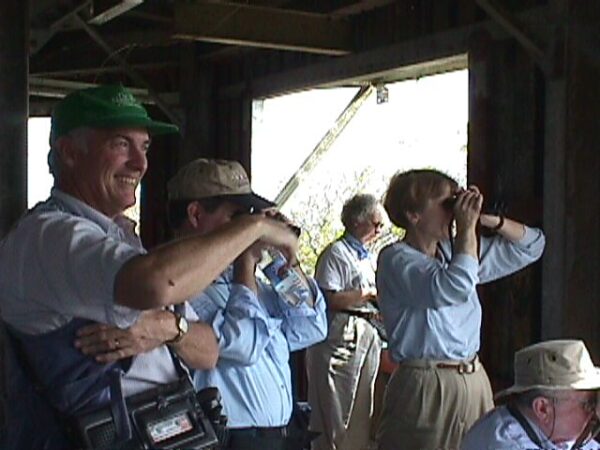 The Canopy Tower: Updates from Our First Year | The Canopy Family