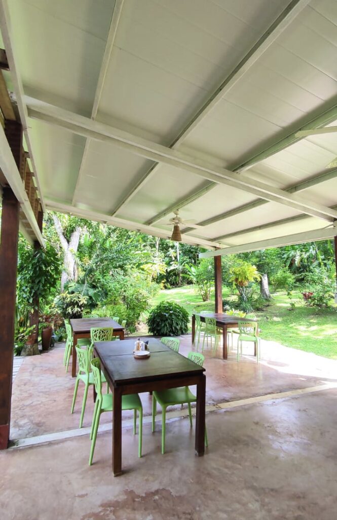 Canopy Camp Darién: Always great, now even better! - The Canopy Family