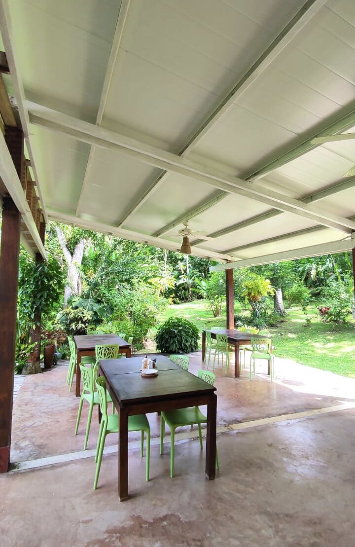 Canopy Camp Darién: Always great, now even better! - The Canopy Family