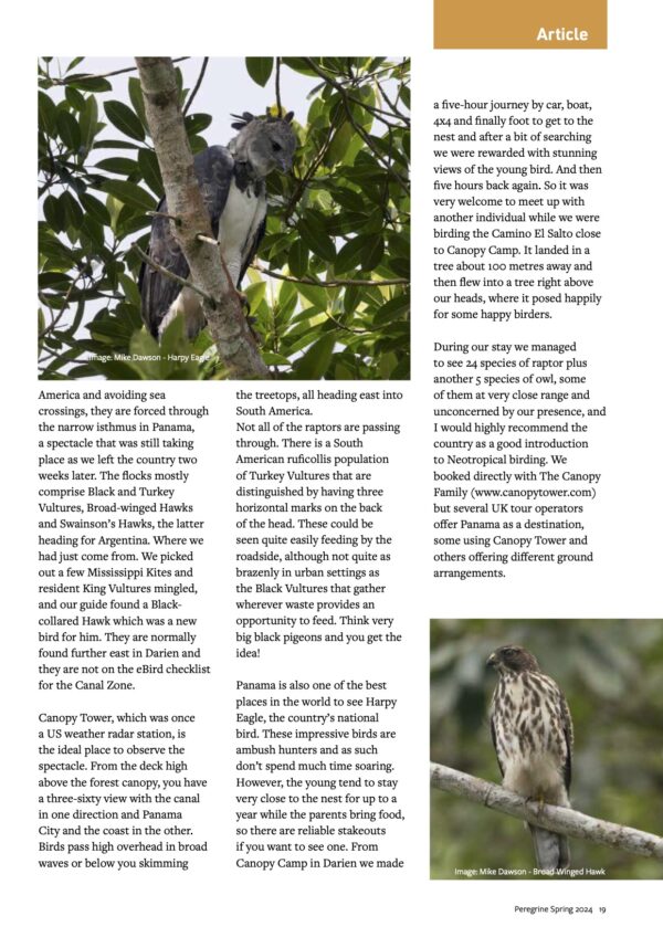 Raptor Migration in Panama featured in the magazine Peregrine - The ...
